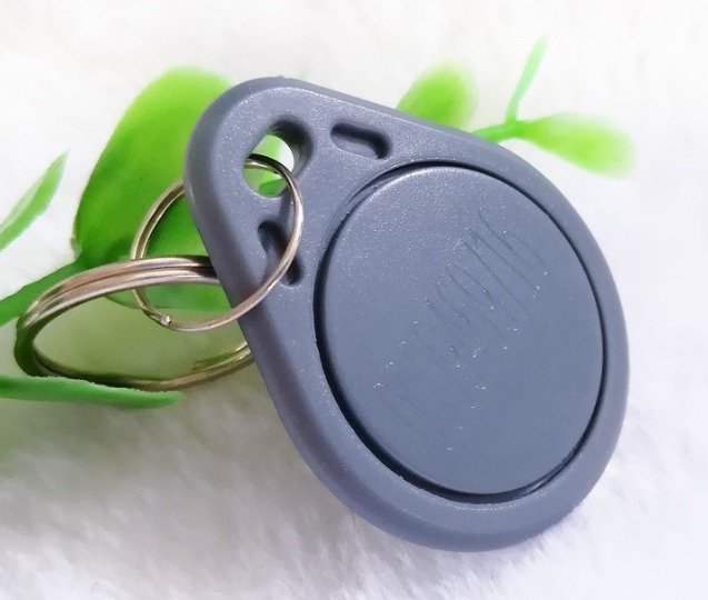 RFID Access chip with key ring